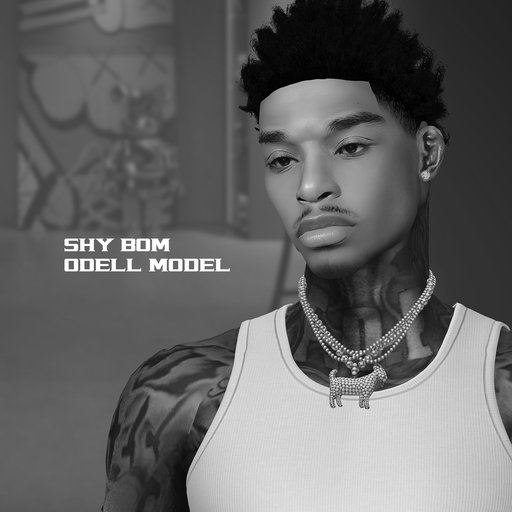 Second Life Marketplace Shy Demo